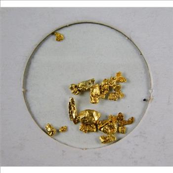 .33 grams Pure Gold Nuggets | Property Room