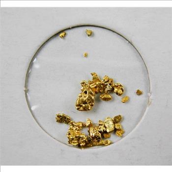 .37 grams Pure Gold Nuggets | Property Room