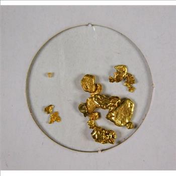 .43 Grams of Pure Gold Nuggets | Property Room