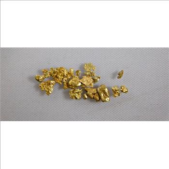 .54 Grams Pure Gold Nuggets | Property Room