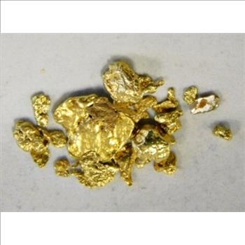 .55 Grams of Pure Gold Nuggets | Property Room