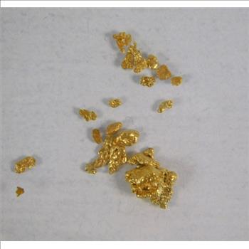 .60 Grams Pure Gold Nuggets | Property Room