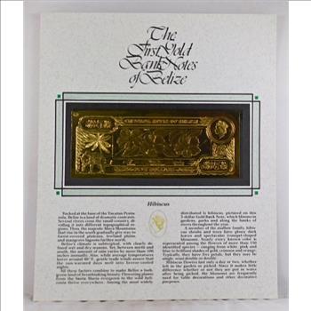 The First Gold Notes of Belize*Minted of 22 K Gold*$50 HIBISCUS Note ...
