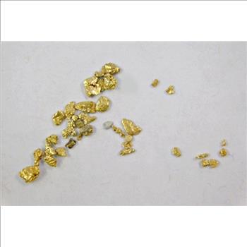Total of .68 Grams Pure Gold Nuggets | Property Room