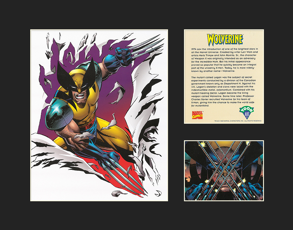 Wolverine Limited Edition Matted | Property Room