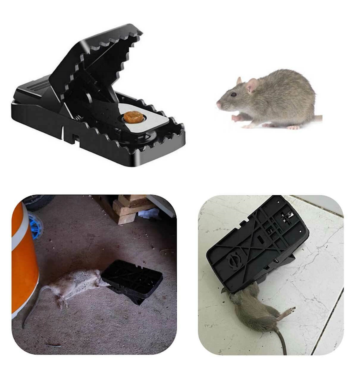 6 pc Heavy Duty Mouse Traps | Property Room