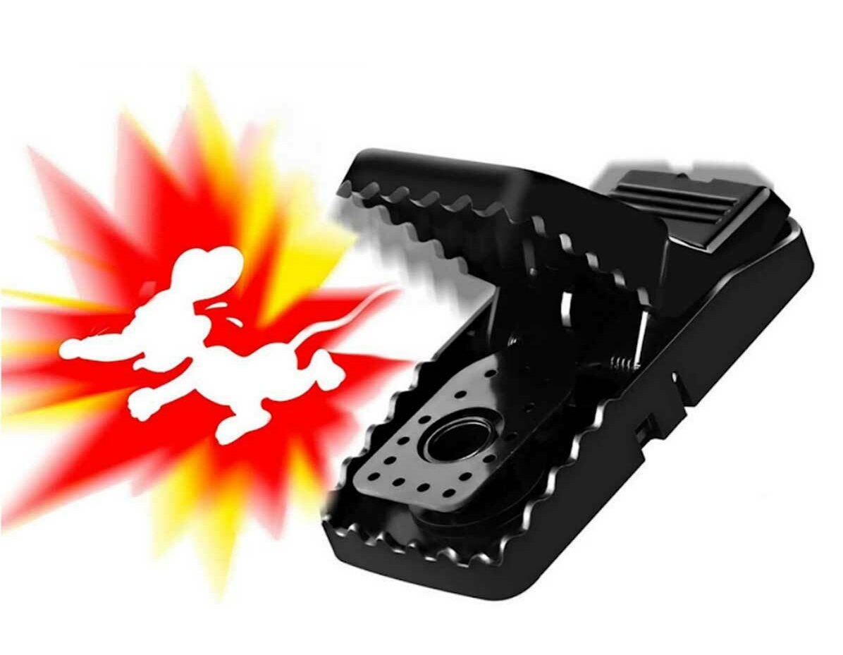 6 pc Heavy Duty Mouse Traps | Property Room