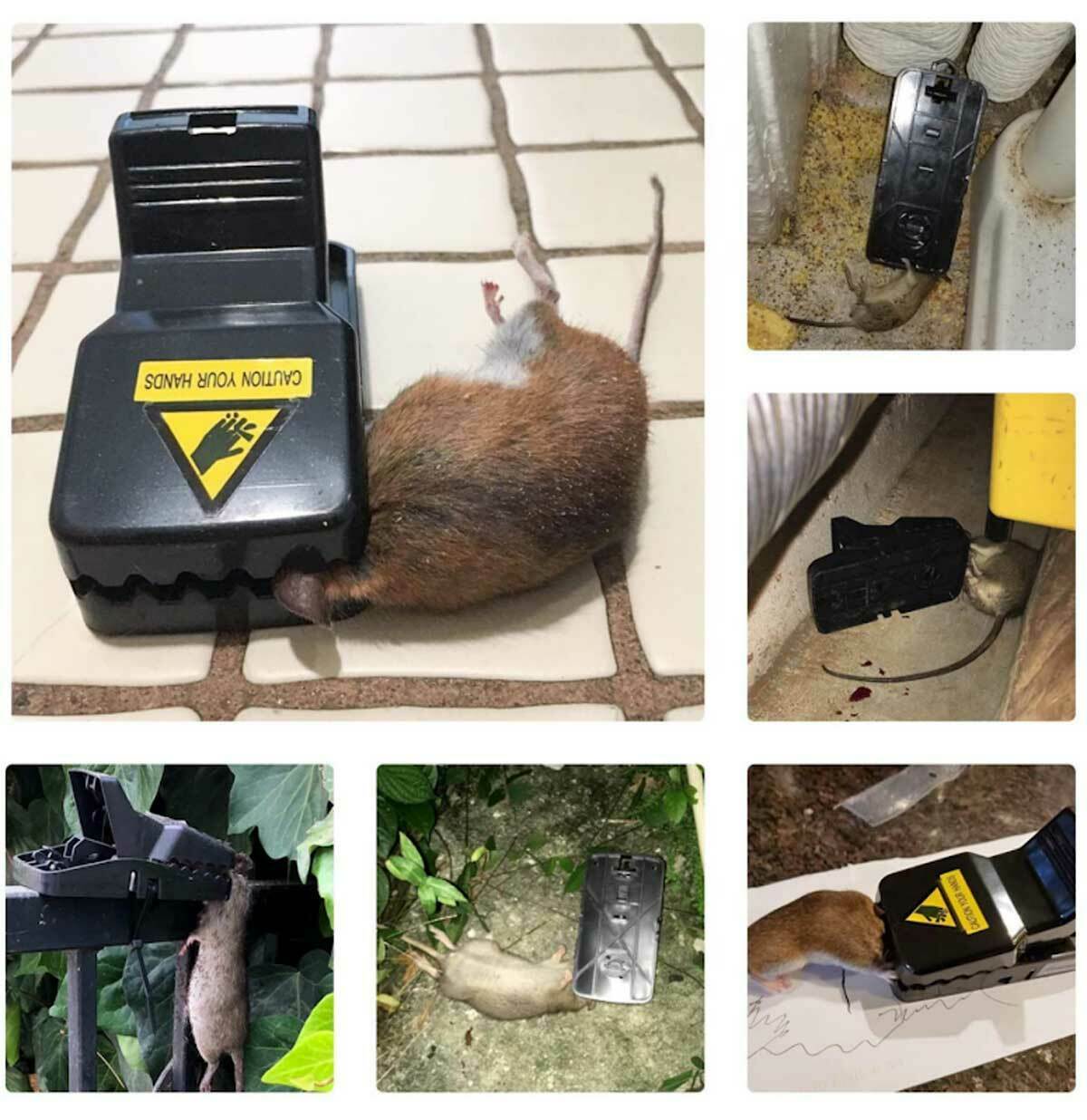 6 pc Heavy Duty Mouse Traps | Property Room