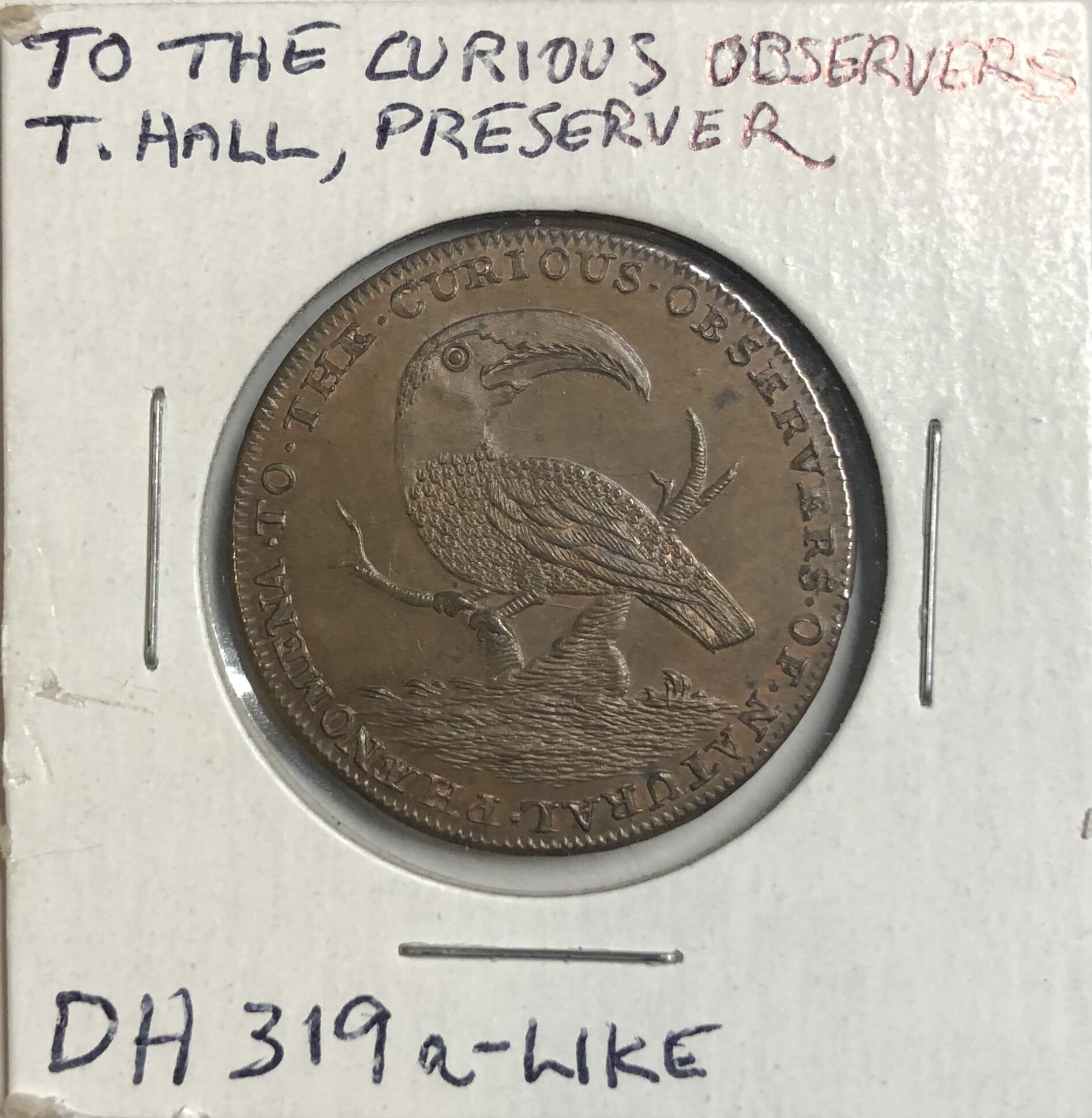 >T. Hall, Preserver of Birds, Beasts or Reptiles - To the Curious ...