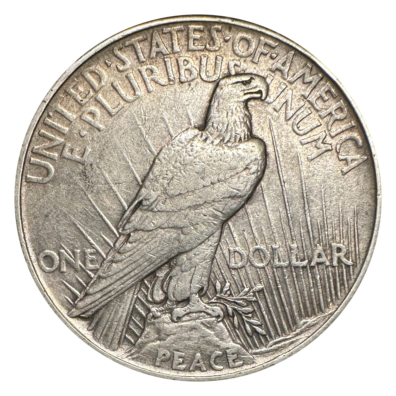 >1921 U.S. Silver Peace Dollar - Lustrous and Toning Around Rim ...