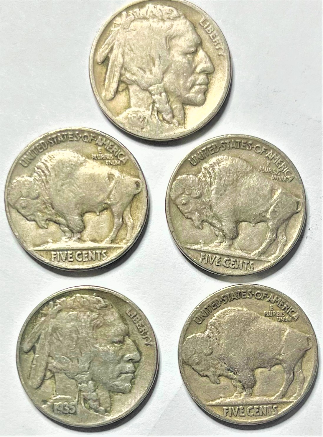Herd Of 5 U.S. Buffalo Nickels - Nice Collector Grade | Property Room