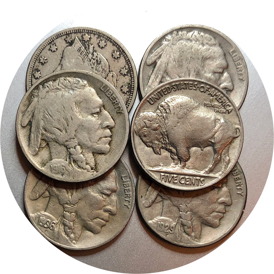 Small Herd Of US Buffalo Nickels-All Original & Album Ready! | Property ...