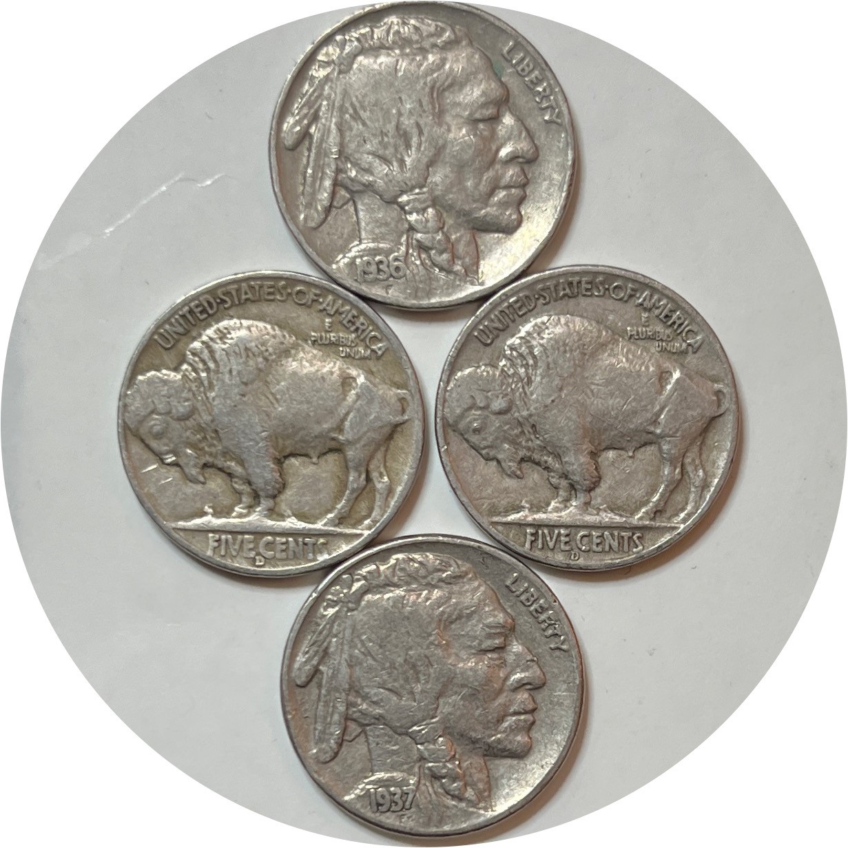 4 U.S. Buffalo Nickels-Original Collector Grade | Property Room