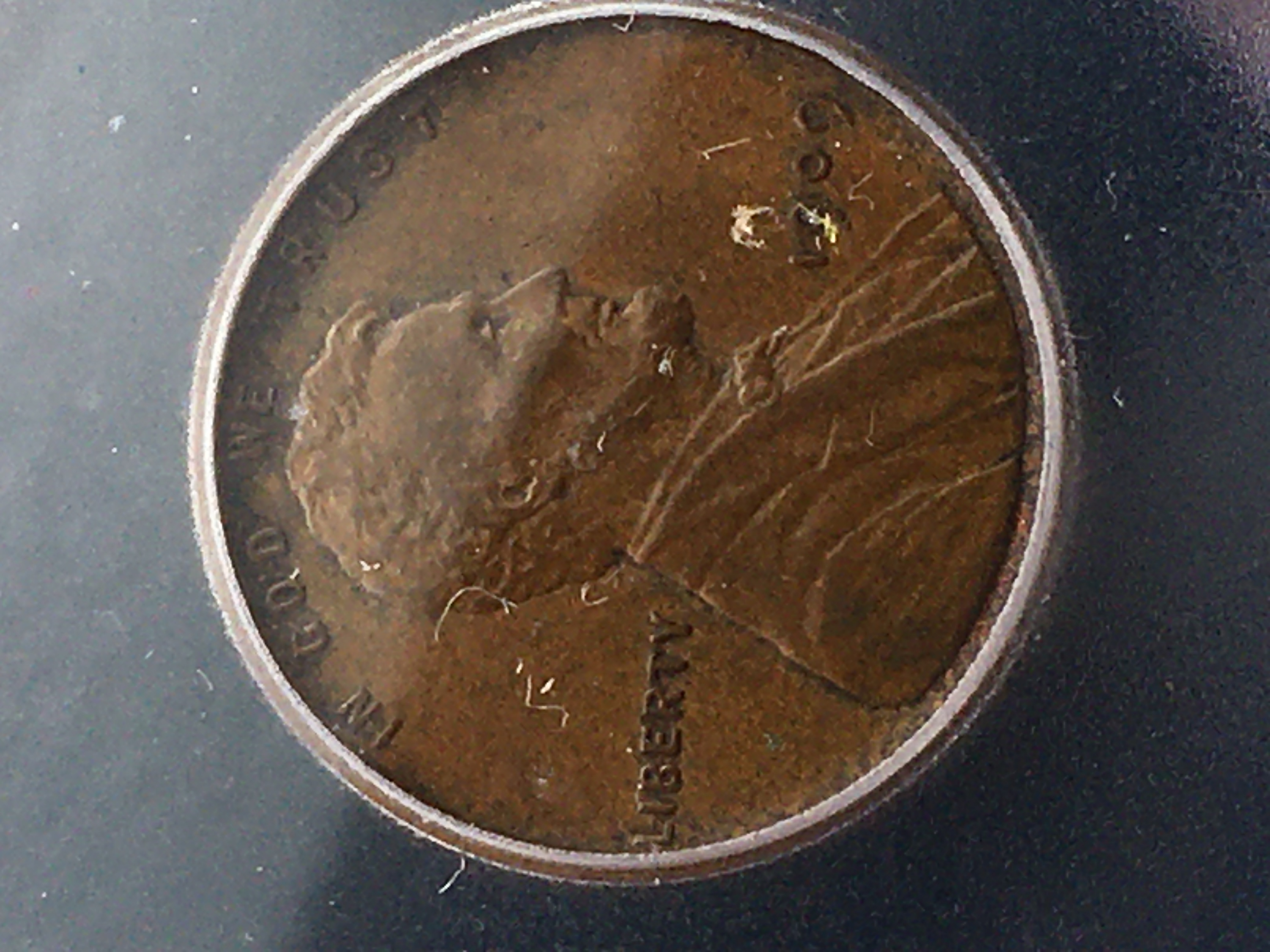 1909 VDB Wheat Penny ICG-AU58 | Property Room
