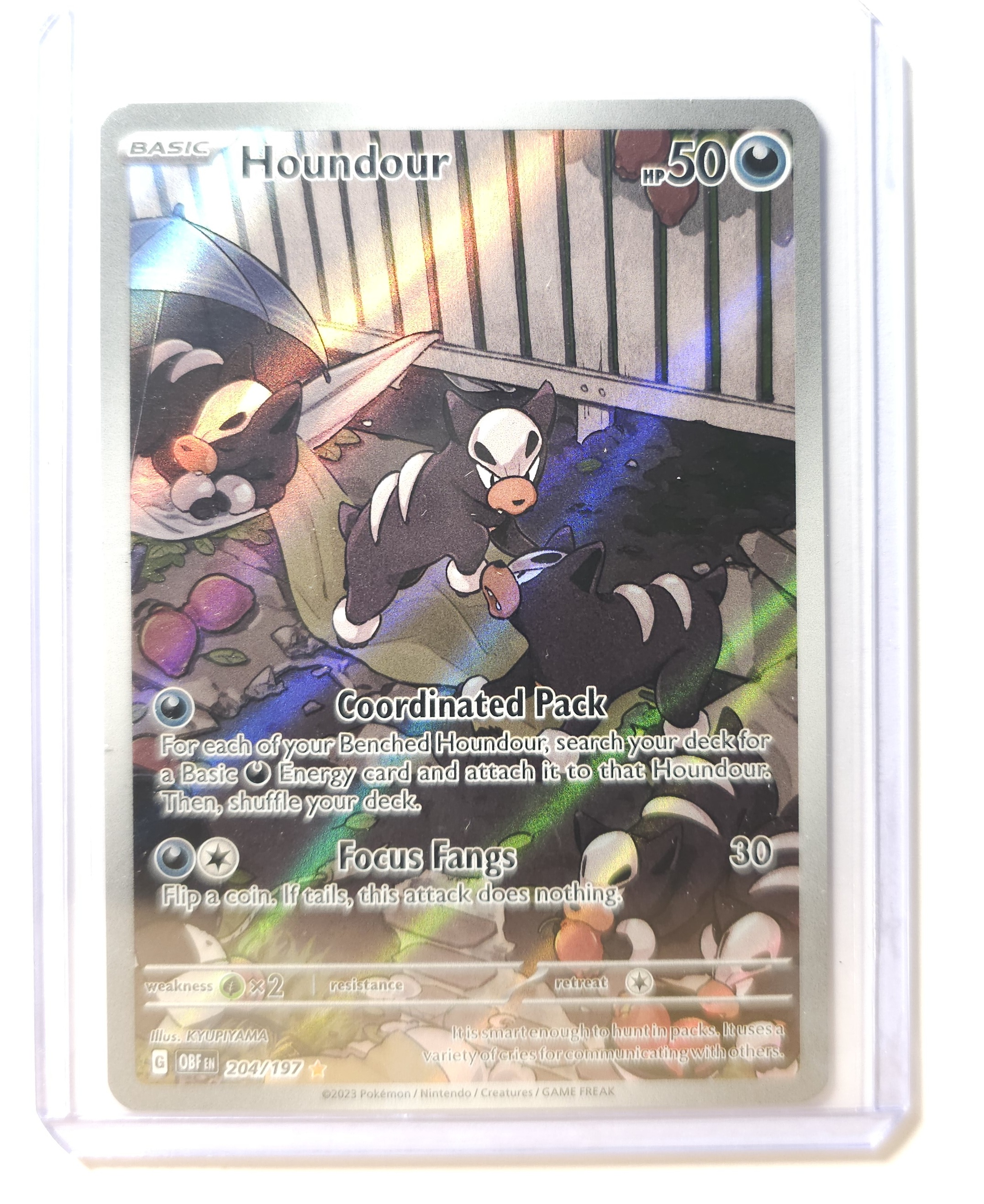 2023 Pokemon HOUNDOUR #204 Obsidian Flames HOLO RARE FULL ART ...