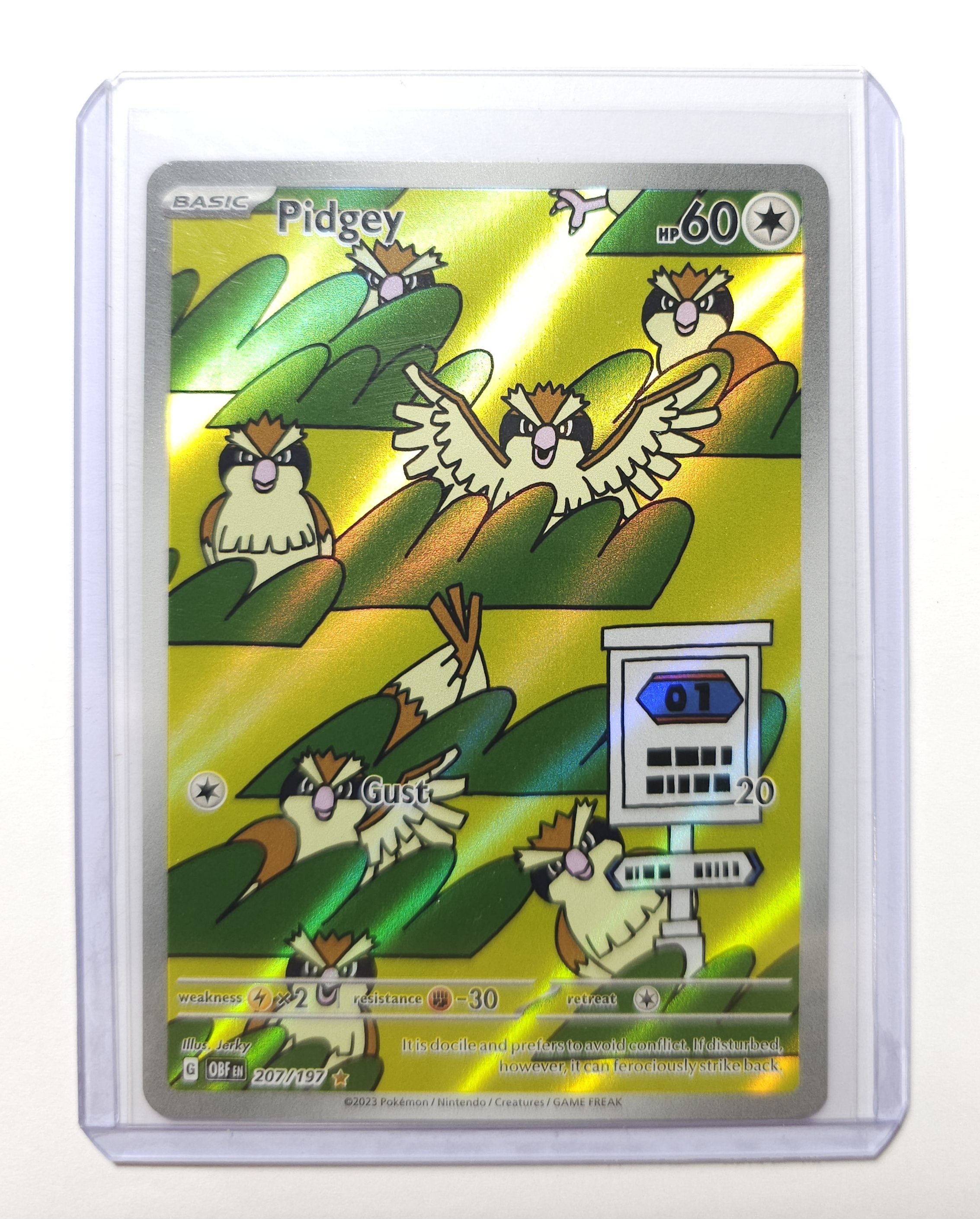 2023 Pokemon PIDGEY #207 Obsidian Flames HOLO RARE FULL ILLUSTRATION ...