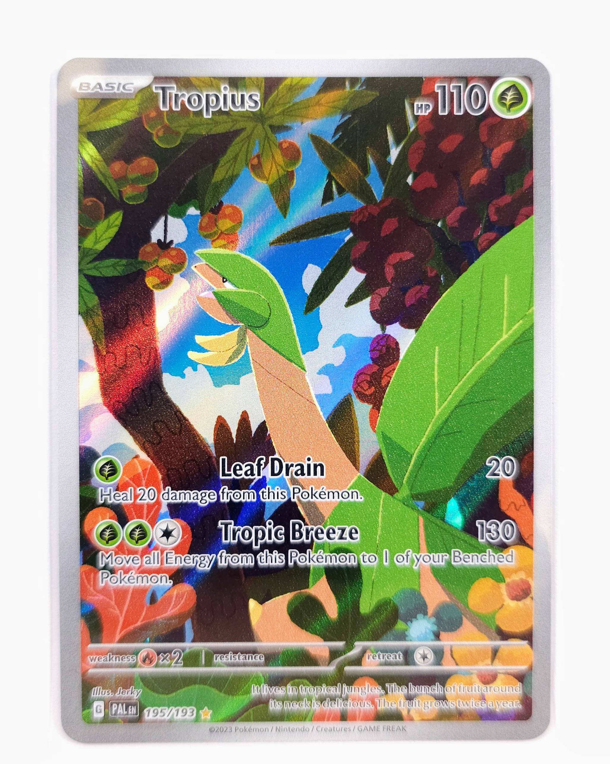 Pokémon TCG Tropius Illustration Rare Scarlet & Violet - Paldea Evolved ...