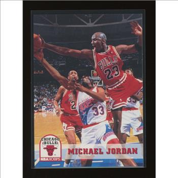 1993 Hoopes Michael Jordan #28 | Property Room
