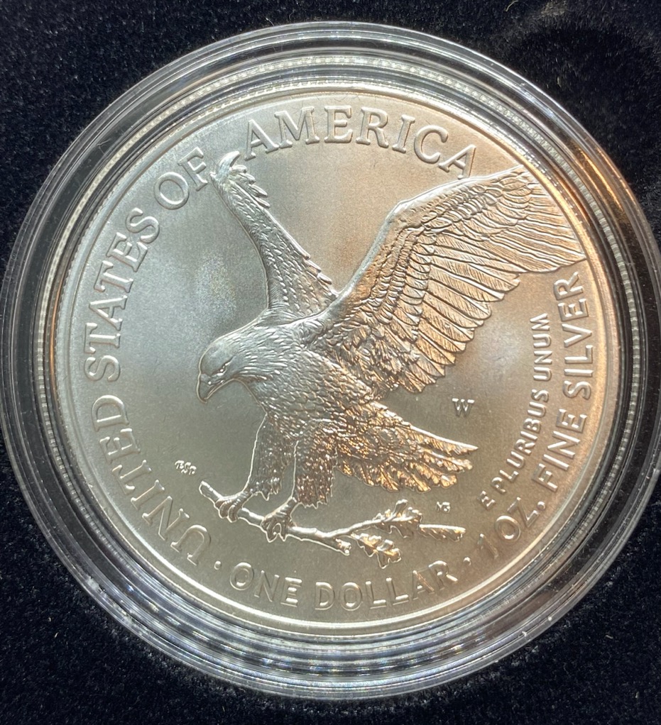 2021-W Burnished United States Mint American Eagle - 1 oz Silver ...