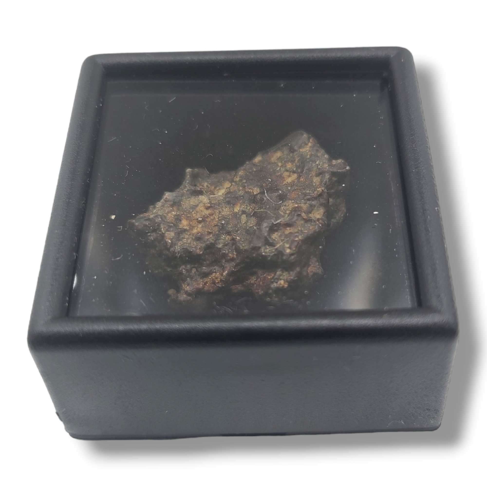 Stony Meteorites: Algeria's Celestial Stone of the Stars | Property Room