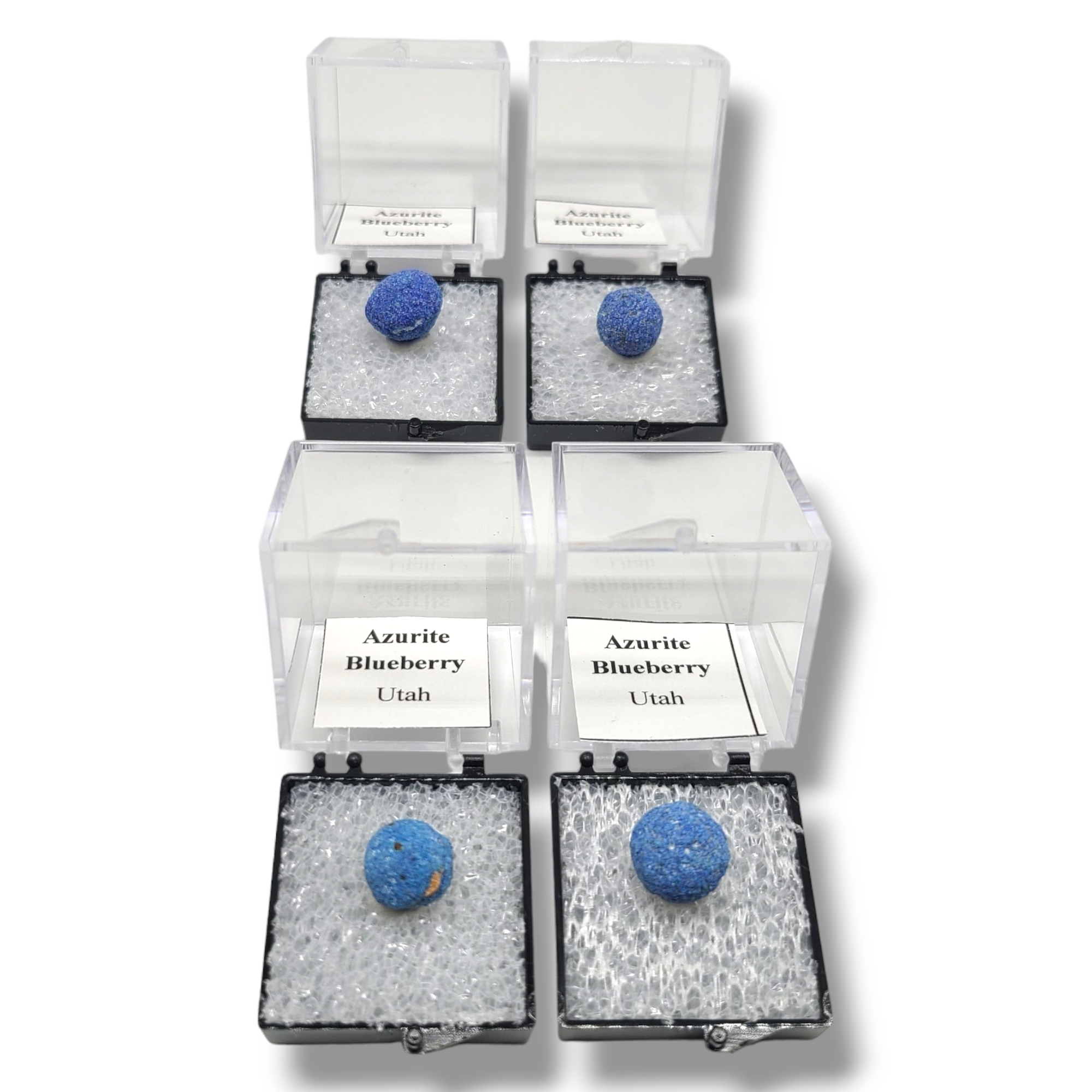 Azurite Blueberry Utah - Captivating Mineral Spheres in Perky Boxes ...