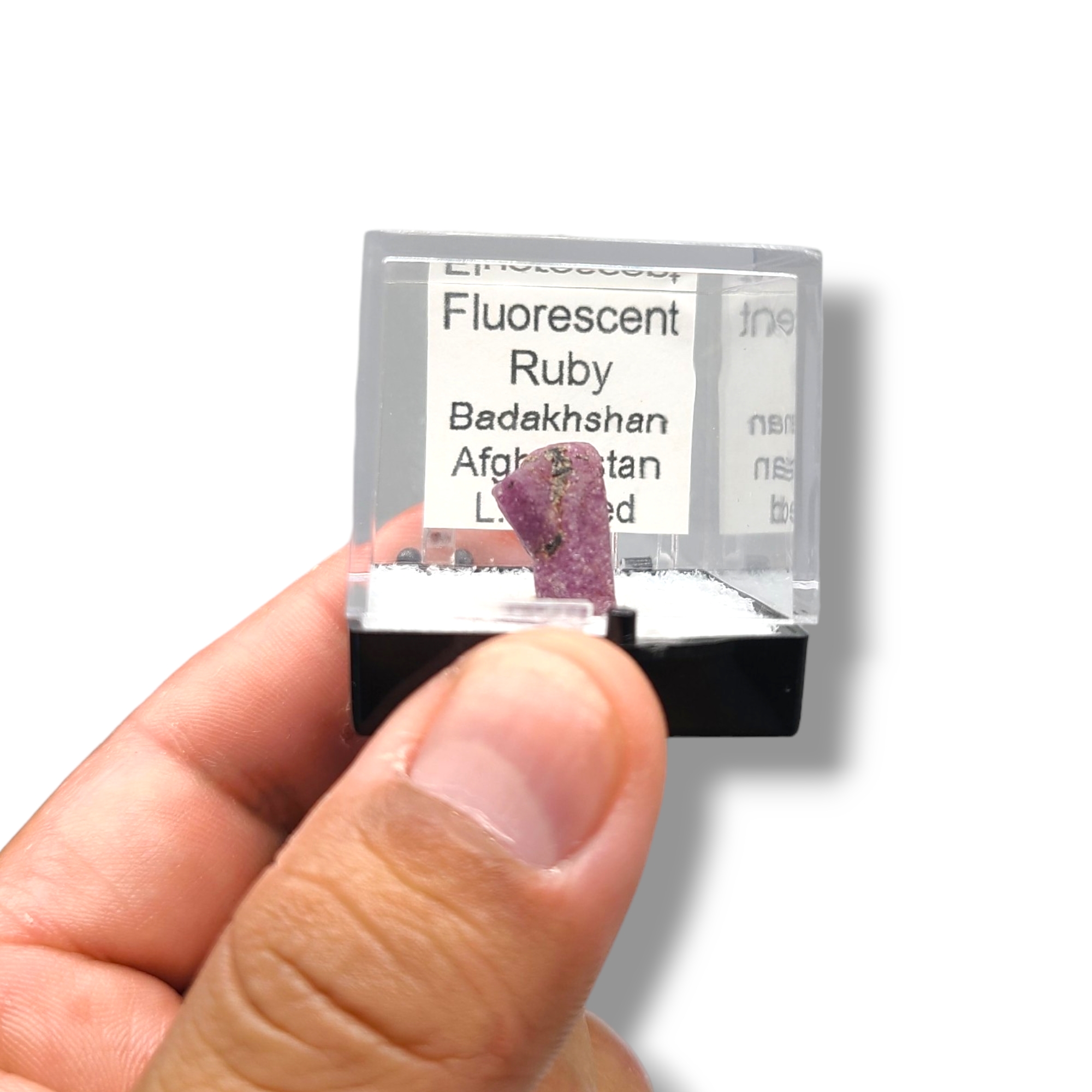 Fluorescent Ruby from Badakhshan - Afghan Gems in Display Cases ...