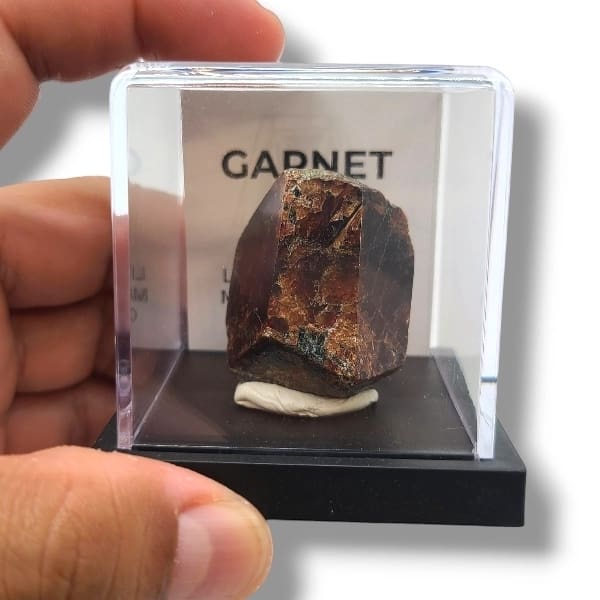 Garnet Little Pine Mine - Dual-Finish Specimen in Display Case ...