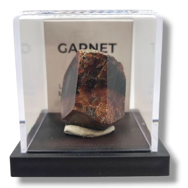 Garnet Little Pine Mine - Dual-Finish Specimen in Display Case ...