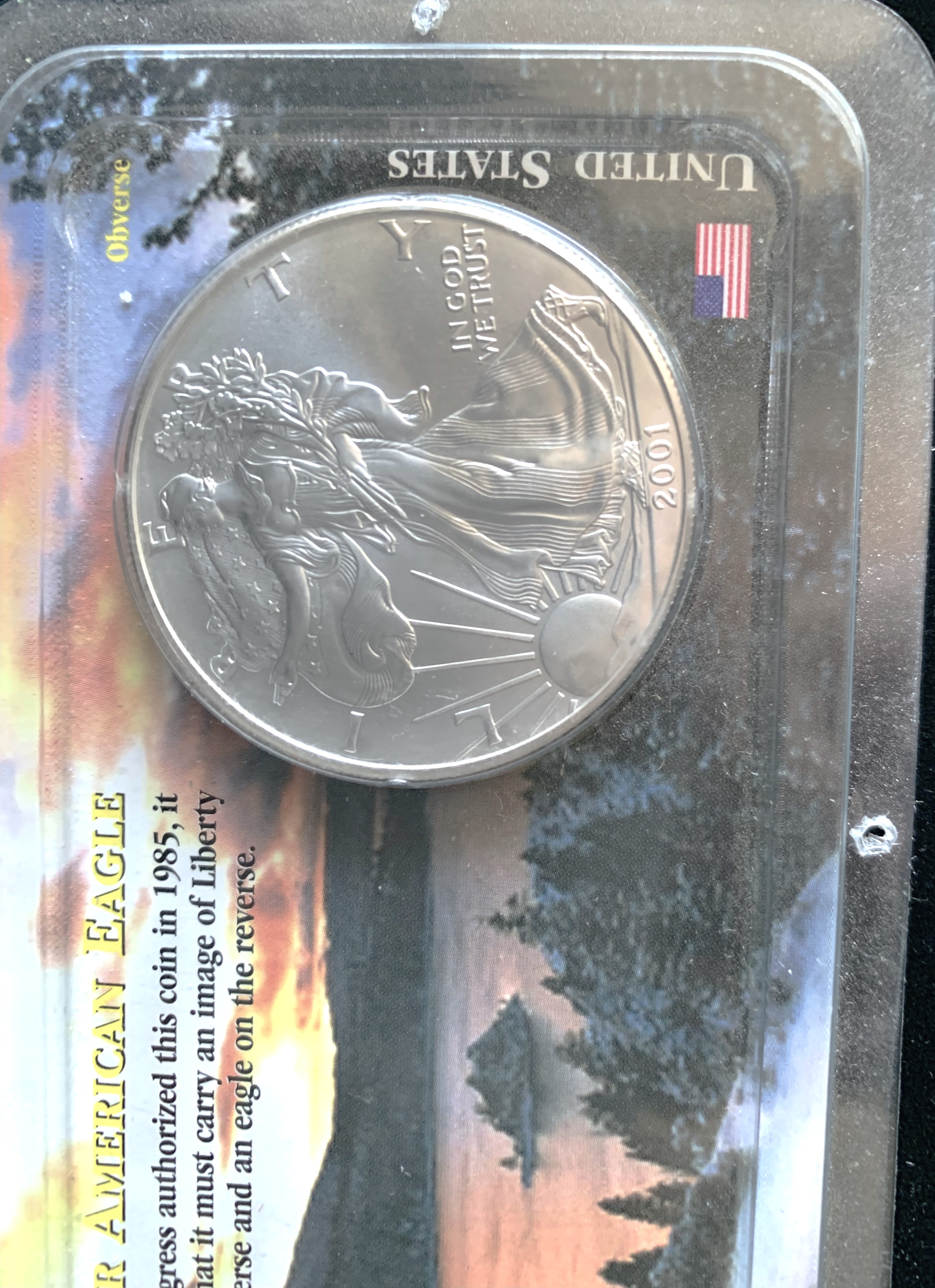 2001 SILVER AMERICA EAGLE UNCIRCULATED IN ORIGINAL GOV PKG 99.93 FINE ...