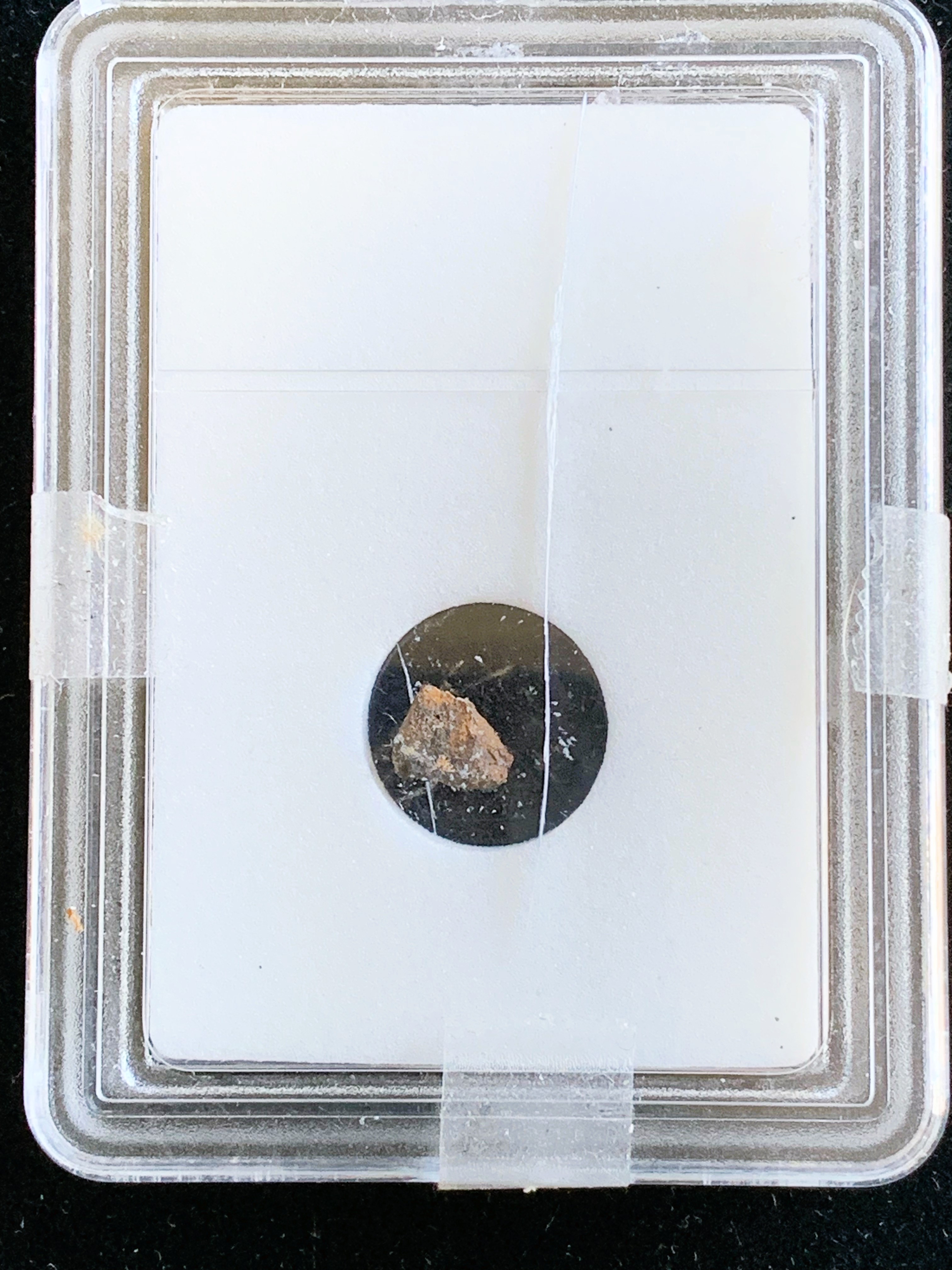 AUTHENTIC METEORITE-SPACE ROCK IN THE SLAB, DISCOVERED 1576 | Property Room