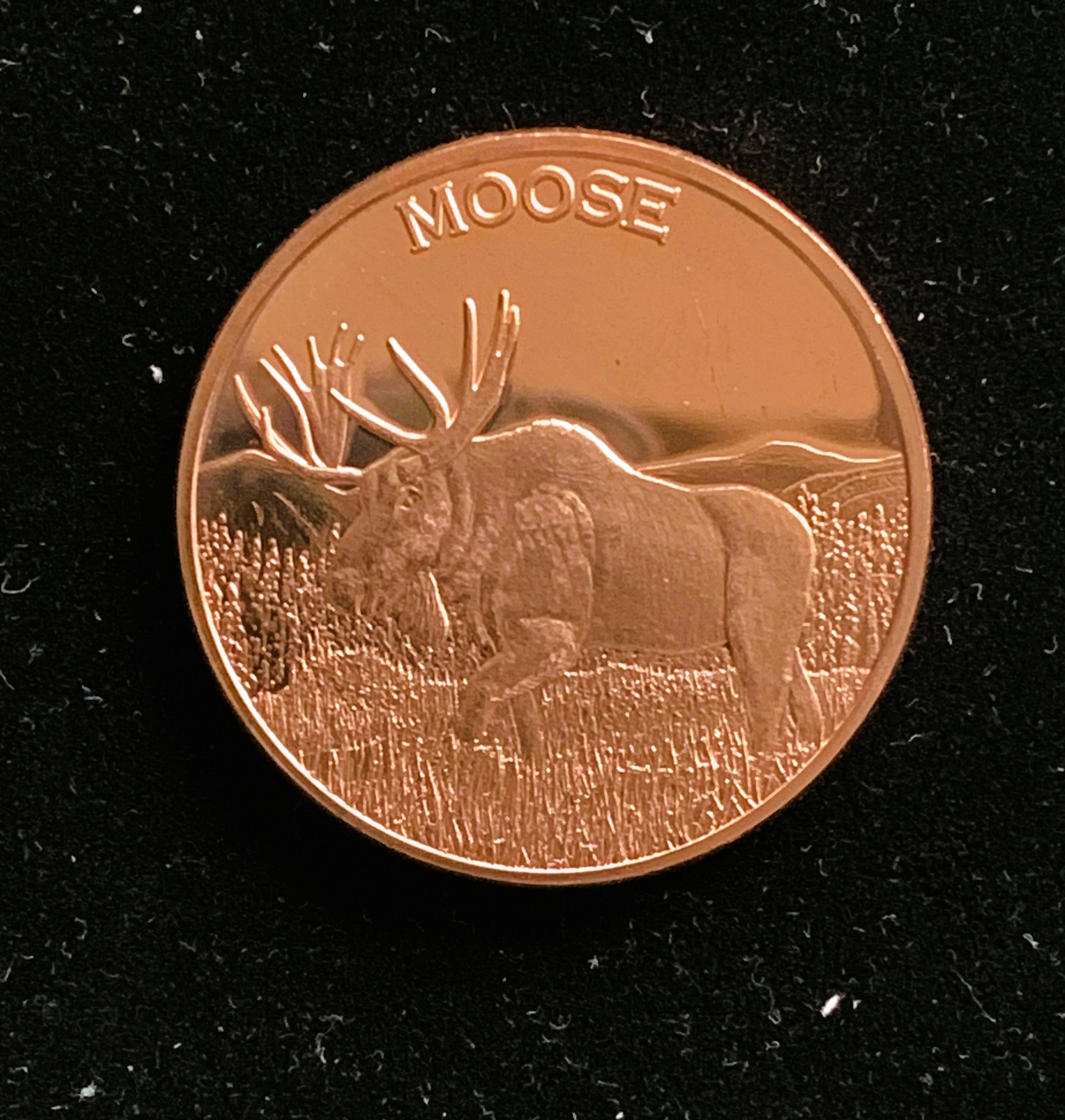 1oz A.V.D.P. COPPER .999 MOOSE COIN, UNBLEMISHED SHINING PROOF ...