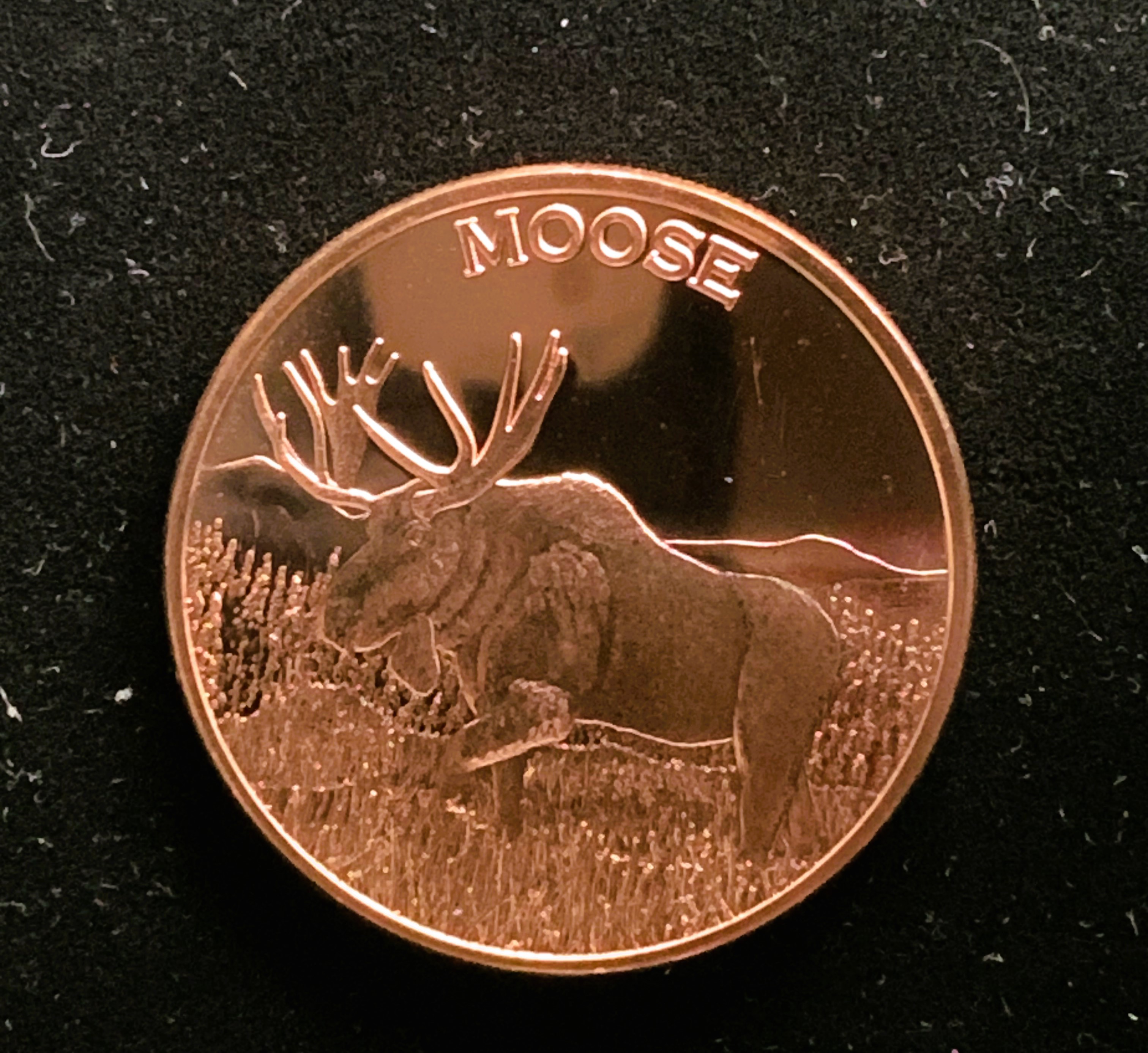 1oz A.V.D.P. COPPER .999 MOOSE COIN, UNBLEMISHED SHINING PROOF | Property Room