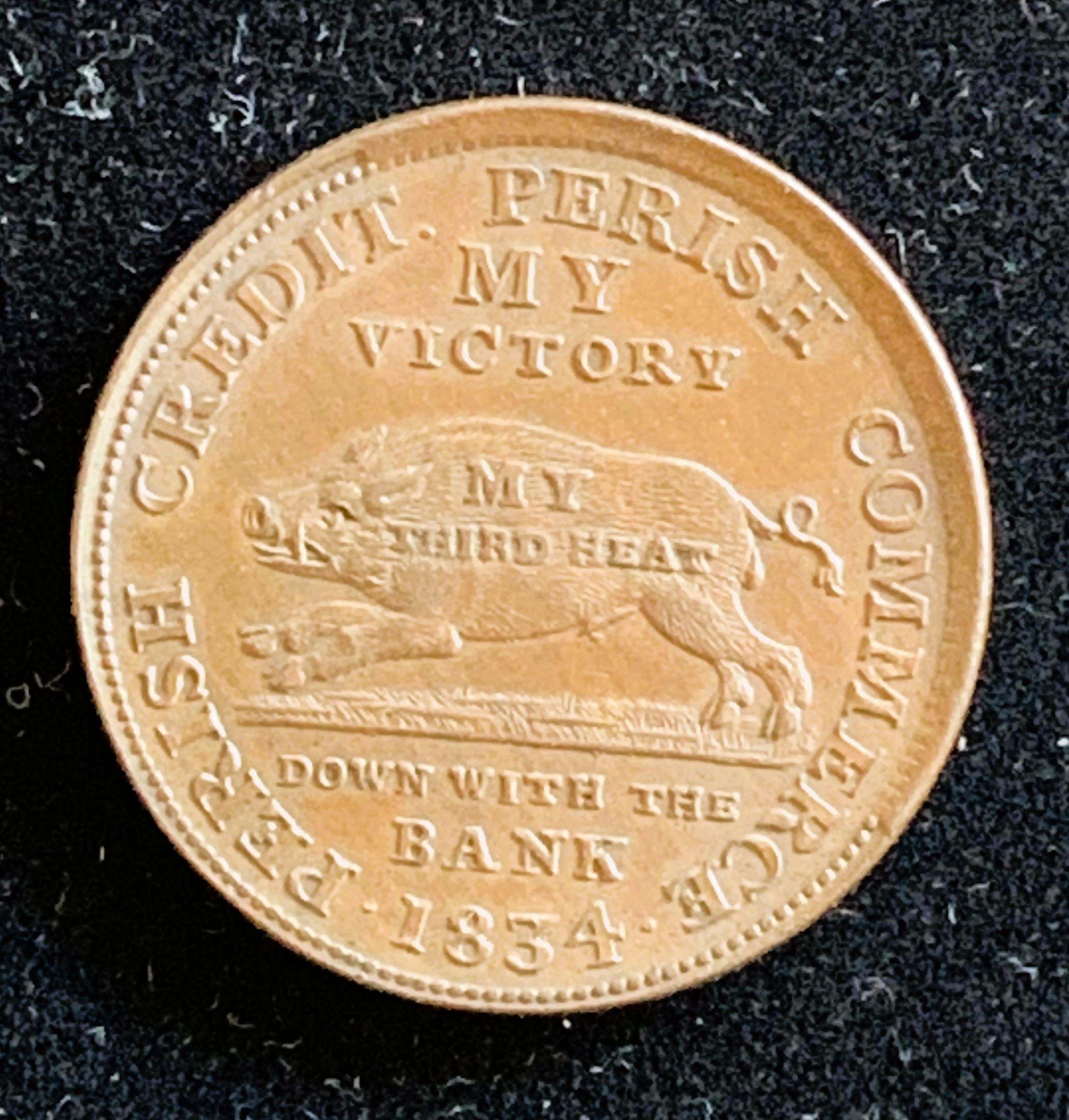 1834 RUNNING BOAR, "DOWN WITH THE BANK" HARD TIMES TOKEN, RARE ...
