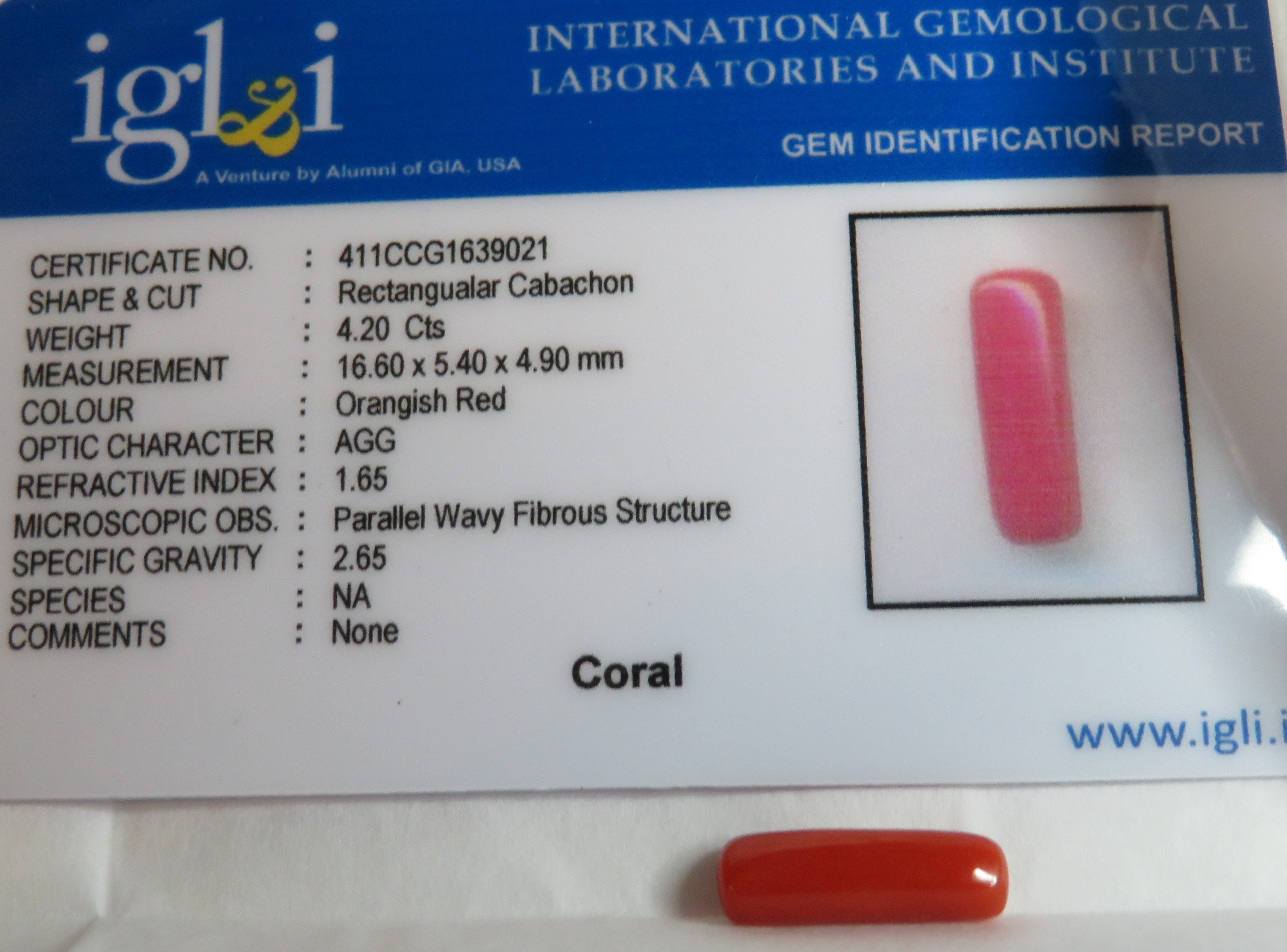 4.20 Natural Red Coral Gemstone with COA Card | Property Room