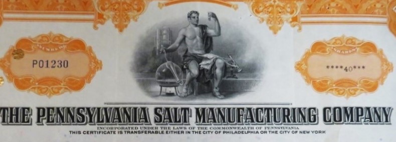 The Pennsylvannia Salt Manufacturing Company Stock Certificate ...