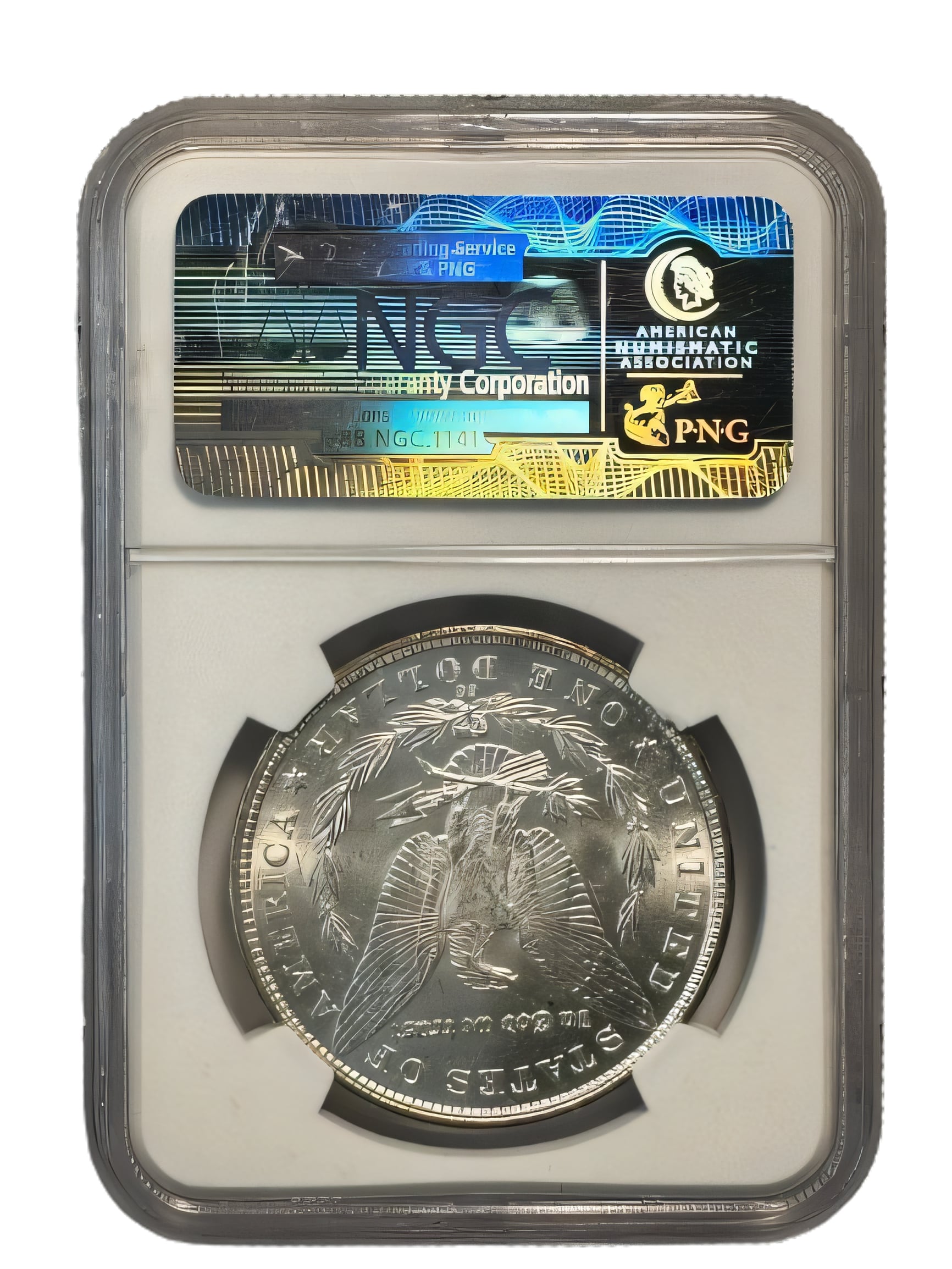 1882-CC Morgan Silver Dollar NGC MS64 Remarkable Eye Appeal - VAM 2C ...