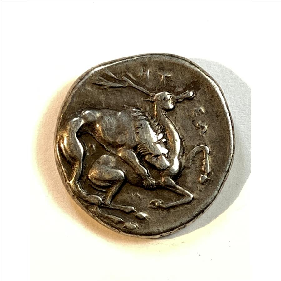 Lucania, Velia, (c.440/35-400 B.C.), silver nomos, Lion Attacking stag ...