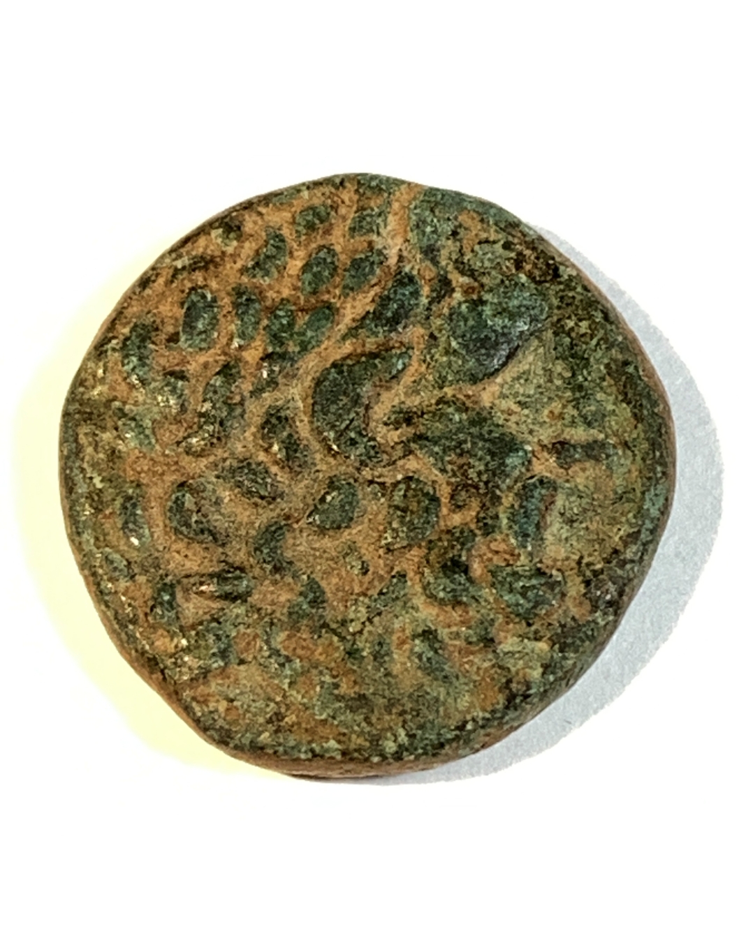 Authentic Ancient Greek Bronze Asclepius Snake Bronze Coin | Property Room
