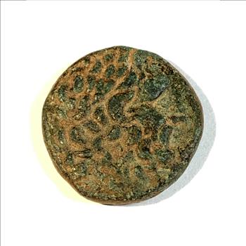 Authentic Ancient Greek Bronze Asclepius Snake Bronze Coin | Property Room